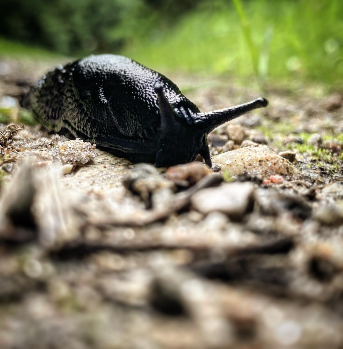 Moxtell Productions - videoproduktion, foto, drone m.m.